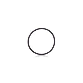 iPhone 13 Pro / 13 Pro Max Back Camera Lens O-Ring Gasket （100 Pack ...